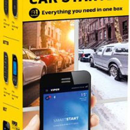 Viper | DS4VB Remote Start System - Installation Included - Black | Realry