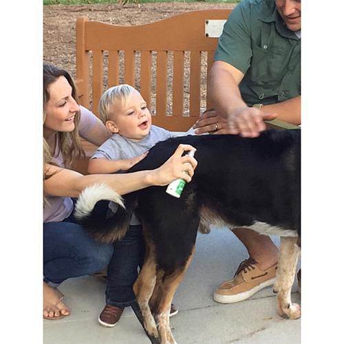 Naturally Green | Products No More Bugs! Pest Control Kit Auto-Ship ...