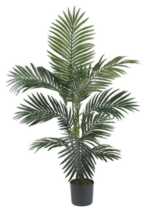 Ashley | 4' Kentia Palm Silk Tree, Green | Realry