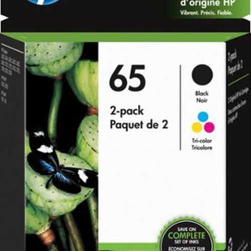 HP | 65 2-pack Standard Capacity Ink Cartridges - Black & Tri-Color ...