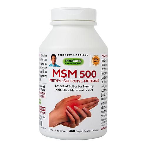Andrew Lessman | MSM-500 360 Capsules | Realry