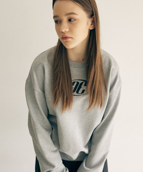 artspeakhouse | AE LOGO SWEAT SHIRT_GRAY | Realry