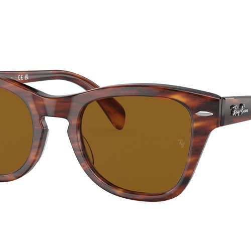 Ray-Ban | Brown Square Unisex Sunglasses RB0707S 954/33 | Realry