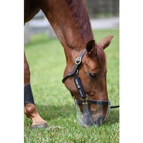 ThinLine | Flexible grazing mask for horse ThinLine ThinLine | Realry